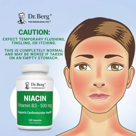 Niacin - 500 mg of Vitamin B3 - 100 Gelatin Capsules